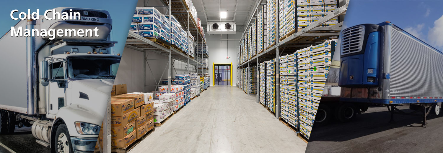 Sea Land Shipping & Logistics